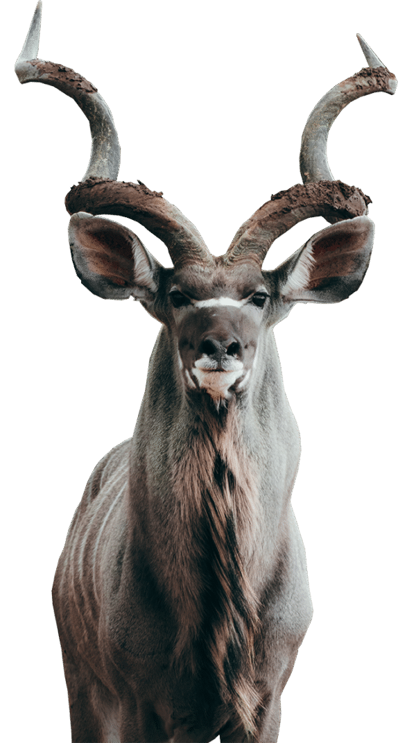 Shoshone Adventure Consulting: Stress-Free Planning - Shoshone Adventures