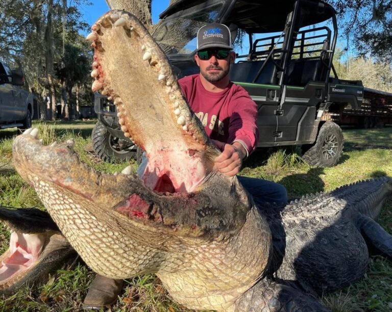 Alligator Archives - Shoshone Adventures