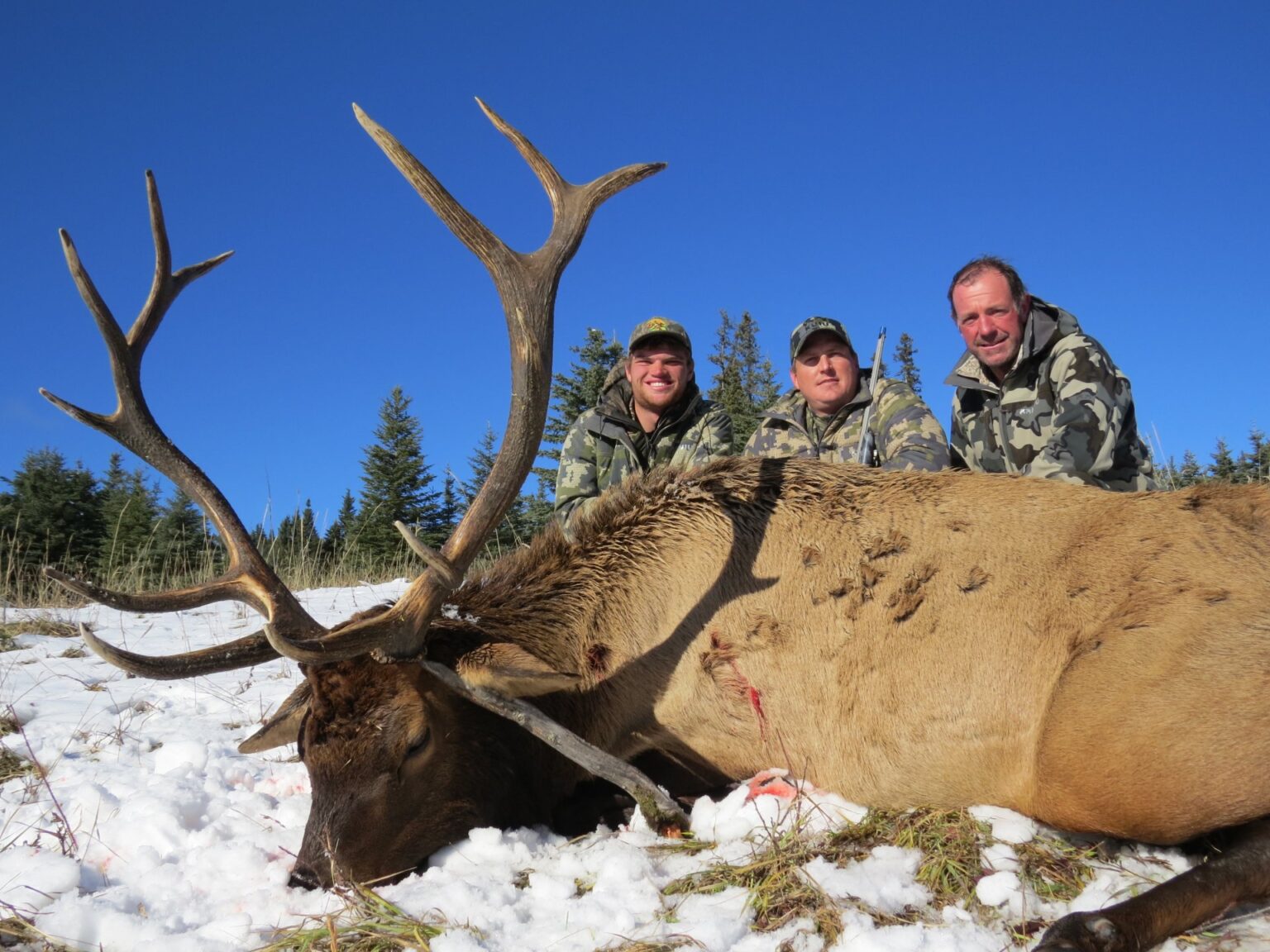 Elk Hunting Adventures with Expert Outfitters - Shoshone Adventures
